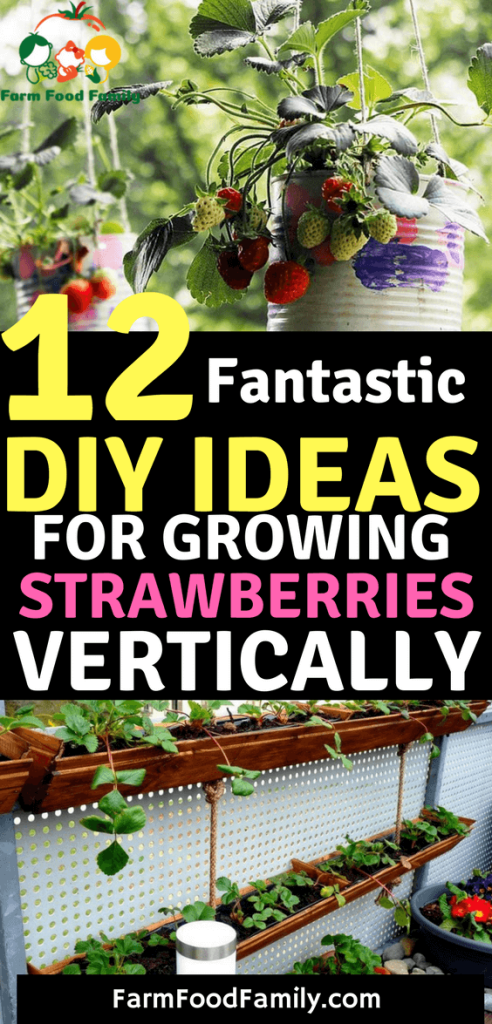 12 DIY Ways To Grow A Vertical Strawberry Garden - FarmFoodFamily
