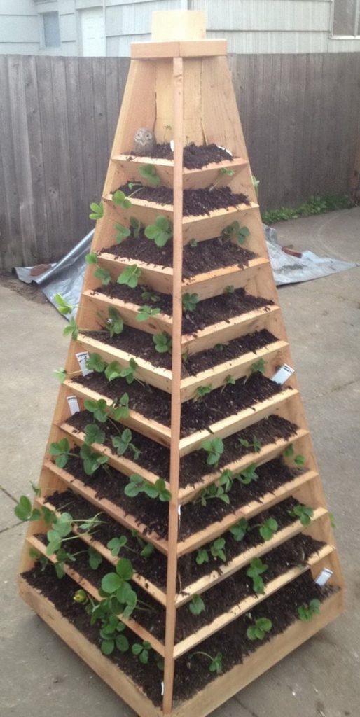12 DIY Ways To Grow A Vertical Strawberry Garden - FarmFoodFamily