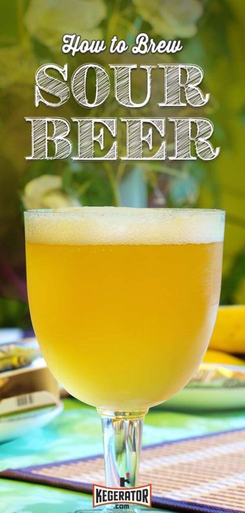 39+ Best Homemade Beer Recipes & Tutorials