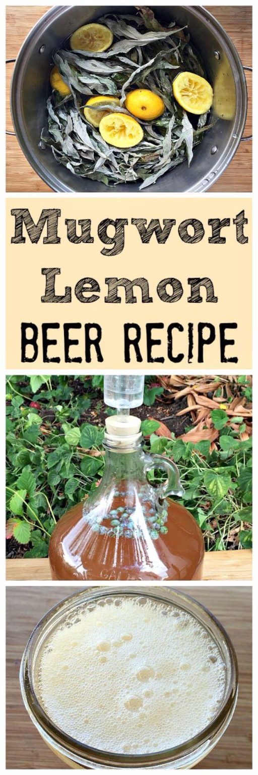 39+ Best Homemade Beer Recipes & Tutorials