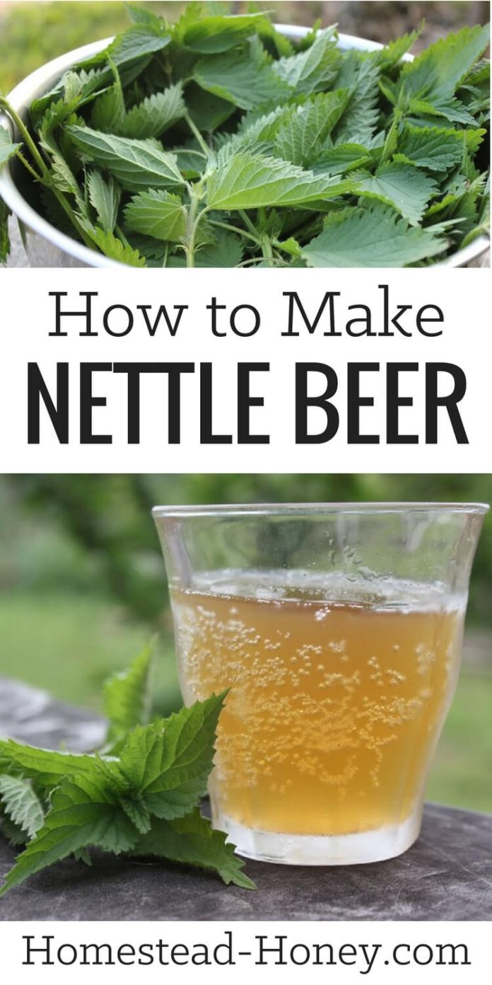 39+ Best Homemade Beer Recipes & Tutorials