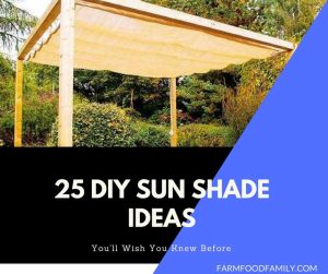 25 Easy DIY Sun Shade Ideas for your Beautiful Backyard