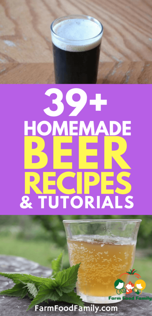 39+ Best Homemade Beer Recipes & Tutorials