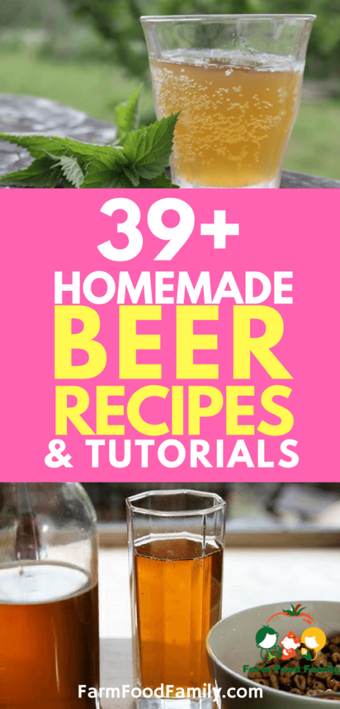 39+ Best Homemade Beer Recipes & Tutorials