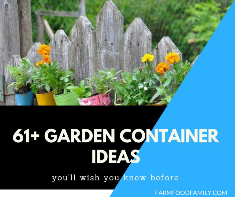 61+ Creative Container Garden Ideas To Follow For Success