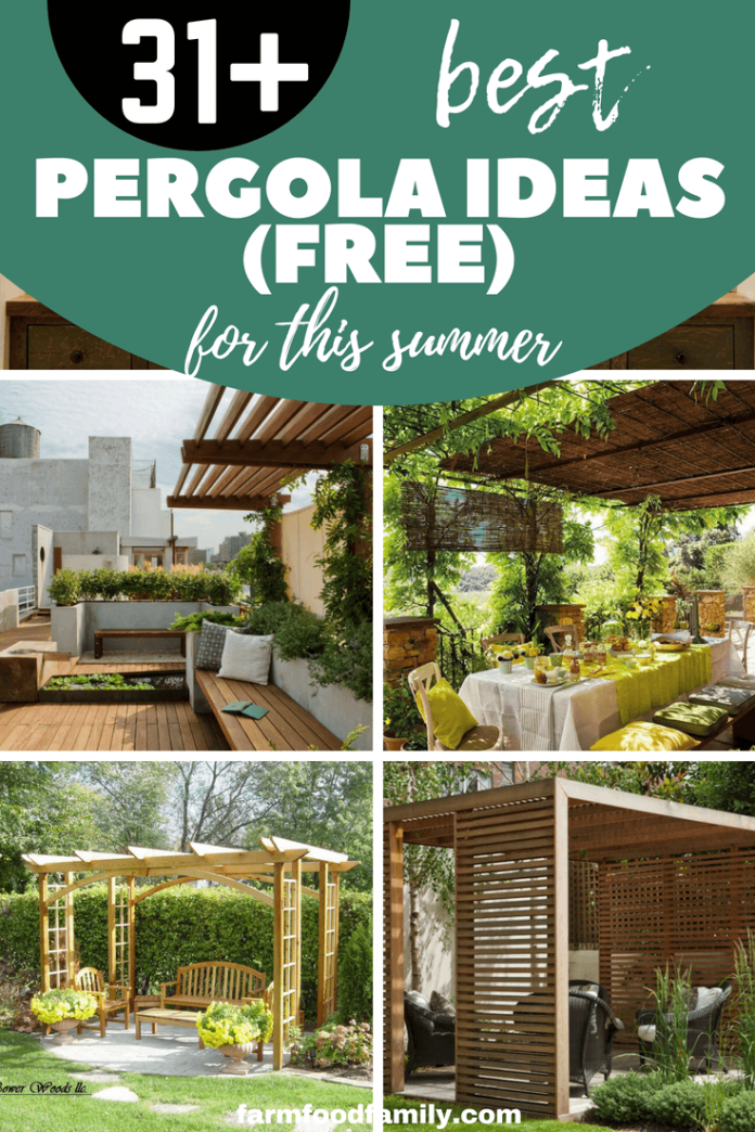 71+ Low-Budget DIY Pergola Ideas and Designs For Your Backyard 2024