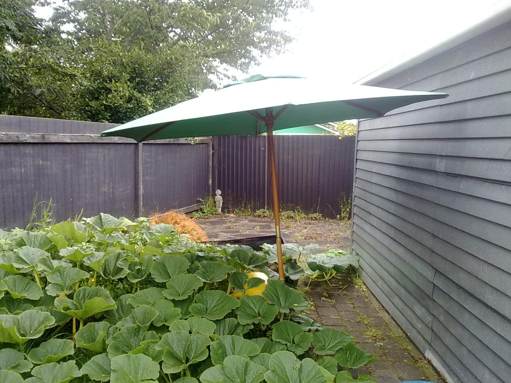 10 Top Tips Clever Ideas For Your Garden - FarmFoodFamily