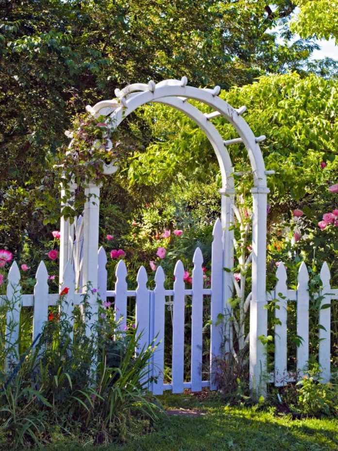 50+ Stunning Cottage Style Garden Ideas (2024): Transform Your Space