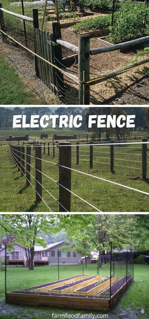 95+ Cheap and Easy DIY Fence Ideas For Your Backyard, or Privacy