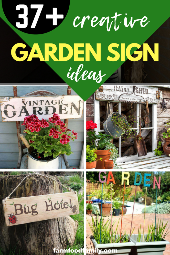 37+ Creative & Funny Garden Sign Ideas For 2024