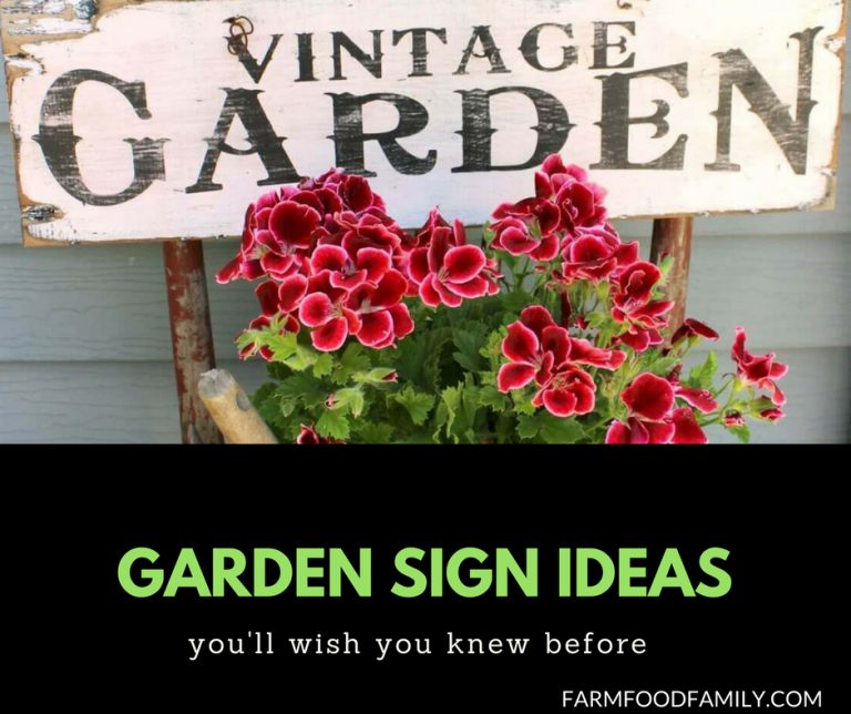 37+ Creative & Funny Garden Sign Ideas For 2024