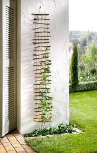 27 Awesome Upcycled Trellis Ideas For Your Garden