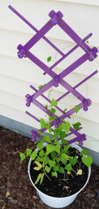 27 Awesome Upcycled Trellis Ideas For Your Garden