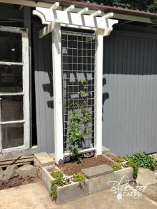 27 Awesome Upcycled Trellis Ideas For Your Garden