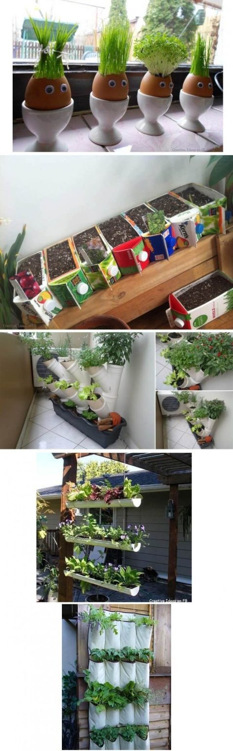 53+ Creative Mini Indoor Garden Ideas - FarmFoodFamily