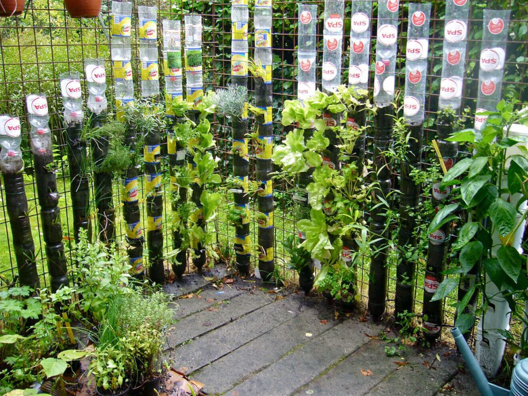 41+ Clever Plastic Bottle Vertical Garden Ideas - FarmFoodFamily