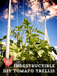 27 Awesome Upcycled Trellis Ideas For Your Garden
