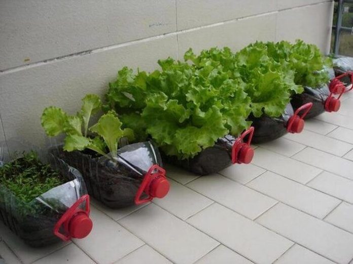 41+ Clever Plastic Bottle Vertical Garden Ideas - FarmFoodFamily