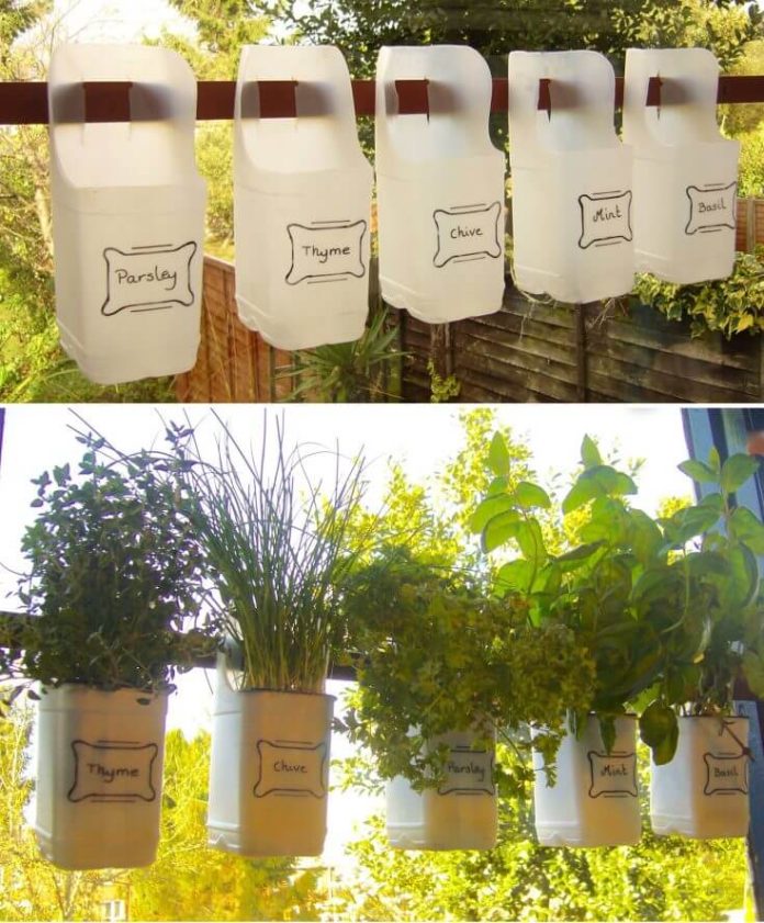 31 Stunning Low Budget Garden Pot and Container Ideas (FREE)