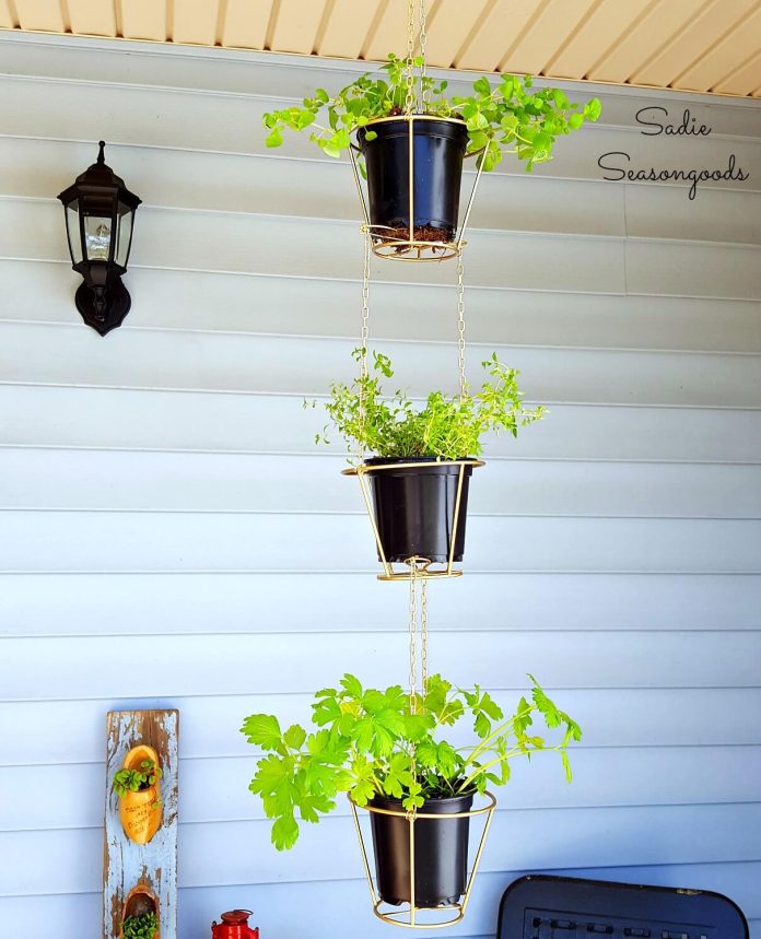 31 Stunning Low Budget Garden Pot and Container Ideas (FREE)