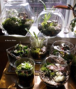 53+ Creative Mini Indoor Garden Ideas - FarmFoodFamily
