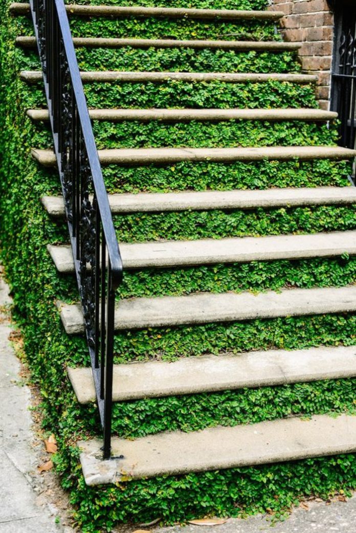31+ Creative Garden Step and Stair Ideas To Enhance Your Landscaping