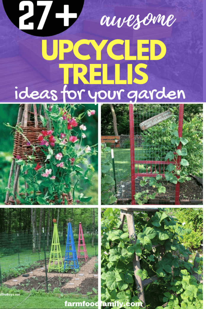 27 Awesome Upcycled Trellis Ideas For Your Garden