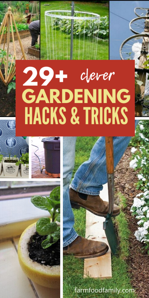 27+ Clever Gardening Hacks and Tricks That You Never Thought Of