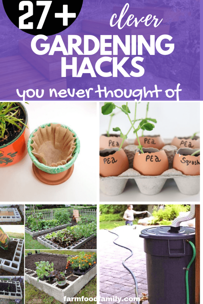 27+ Clever Gardening Hacks and Tricks That You Never Thought Of