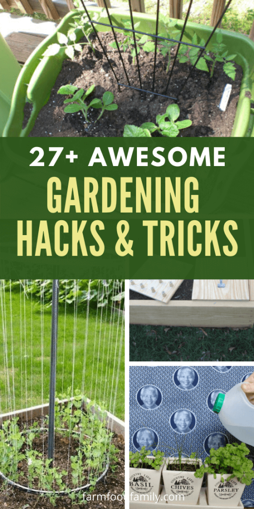 27+ Clever Gardening Hacks and Tricks That You Never Thought Of