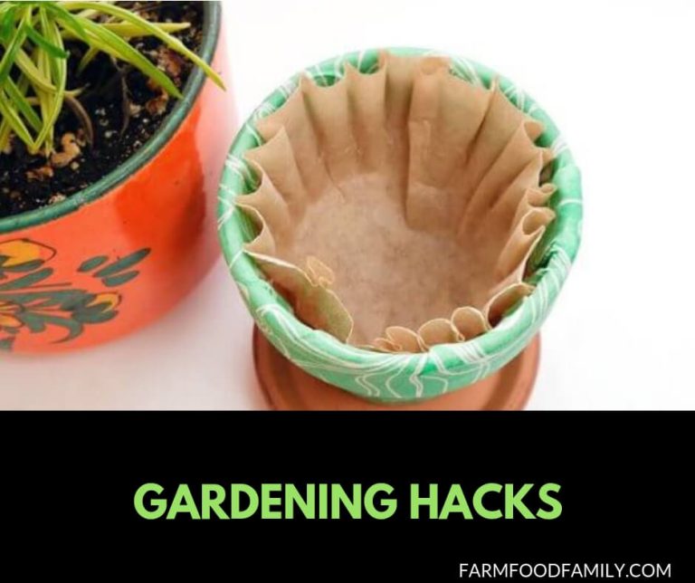 27+ Clever Gardening Hacks and Tricks That You Never Thought Of