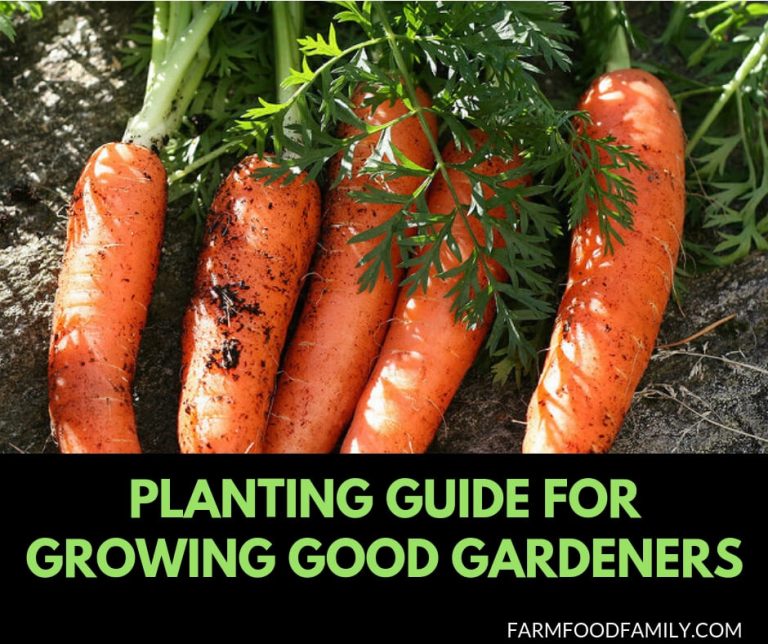 Our Planting Guide (for Growing Good Gardeners!) - FarmFoodFamily