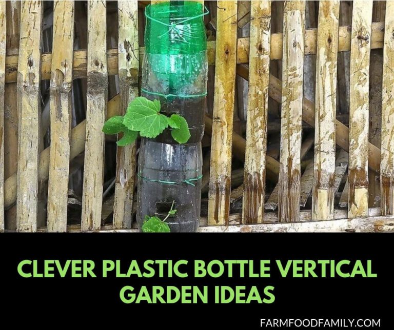 29+ Clever Plastic Bottle Vertical Garden Ideas - FarmFoodFamily