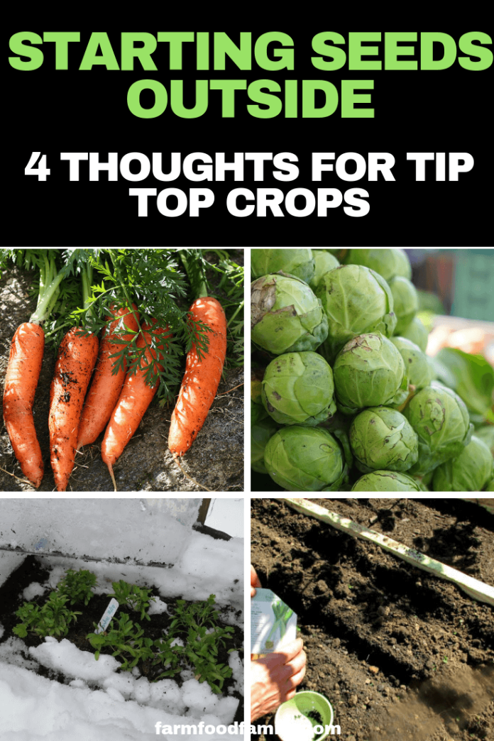 Starting Seeds Outside? 4 Thoughts for Tip Top Crops - FarmFoodFamily