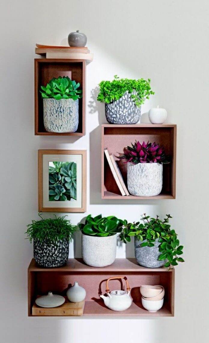 How To Decorate With Houseplants (67 Houseplant Decorating Ideas)