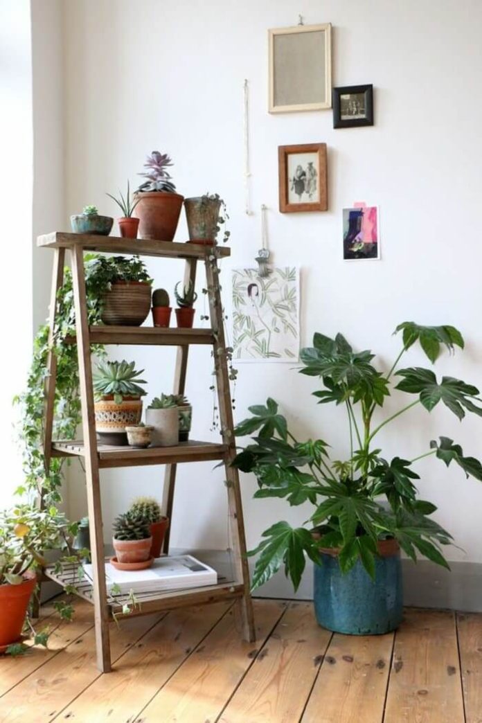 How To Decorate With Houseplants (67 Houseplant Decorating Ideas)