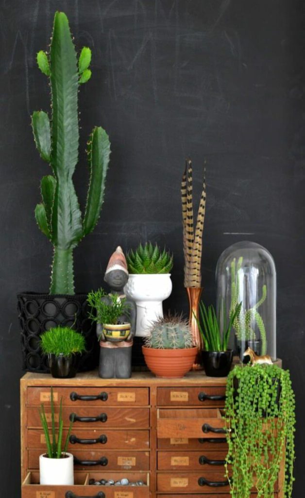 How To Decorate With Houseplants (67 Houseplant Decorating Ideas)