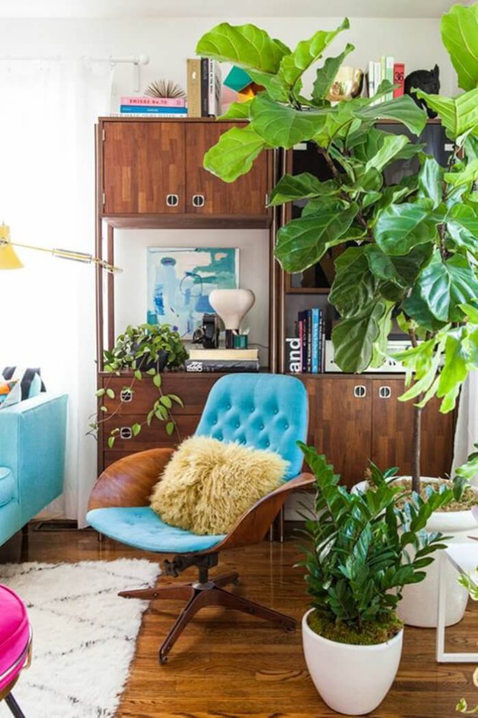 How To Decorate With Houseplants (67 Houseplant Decorating Ideas)