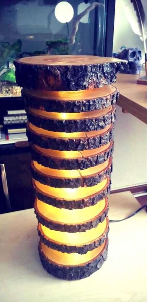 Transform Your Space: 34+ Unique DIY Tree Log Decor Ideas (2024)