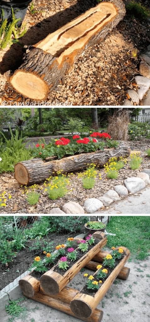 Transform Your Space: 34+ Unique DIY Tree Log Decor Ideas (2024)