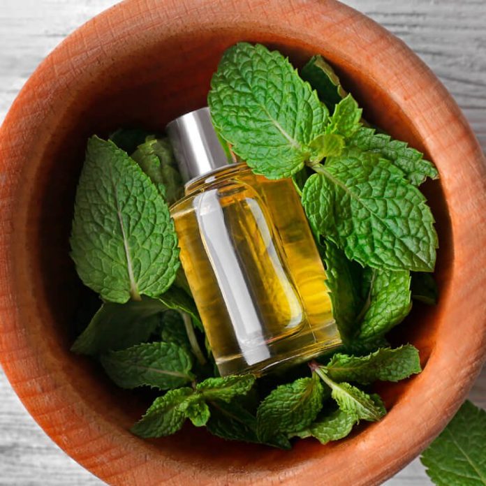 The Calming Herb Lemon Balm With Antiviral and Antibacterial Properties ...