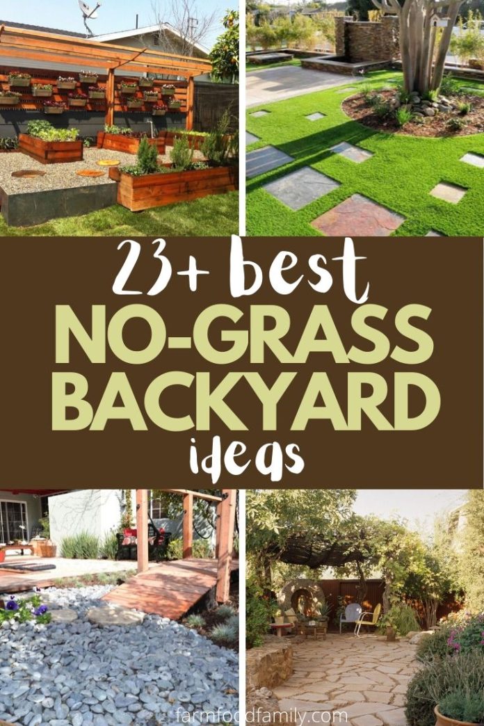 70+ Stunning Landscaping Ideas Without Grass for a Lush Yard (2024)