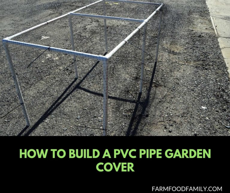 How to Build a PVC Pipe Garden Cover – FarmFoodFamily