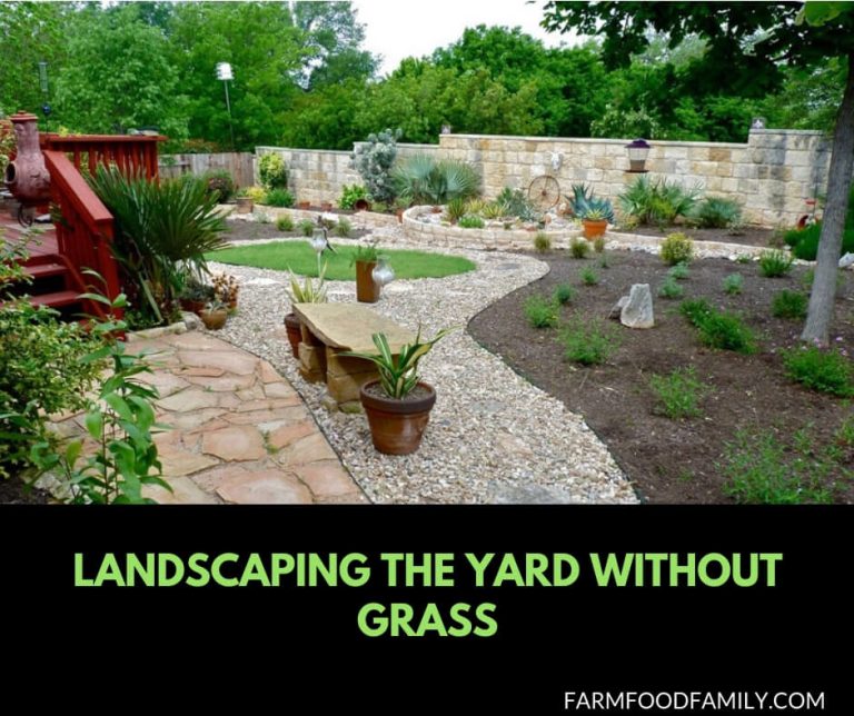 44+ Best Landscaping Design Ideas Without Grass - No Grass Backyard