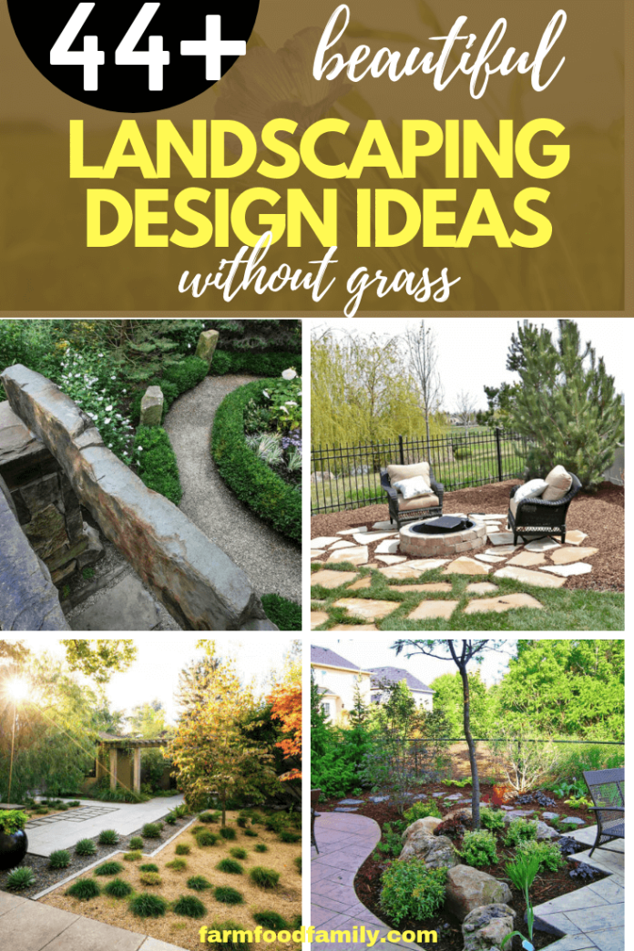 70+ Stunning Landscaping Ideas Without Grass for a Lush Yard (2024)
