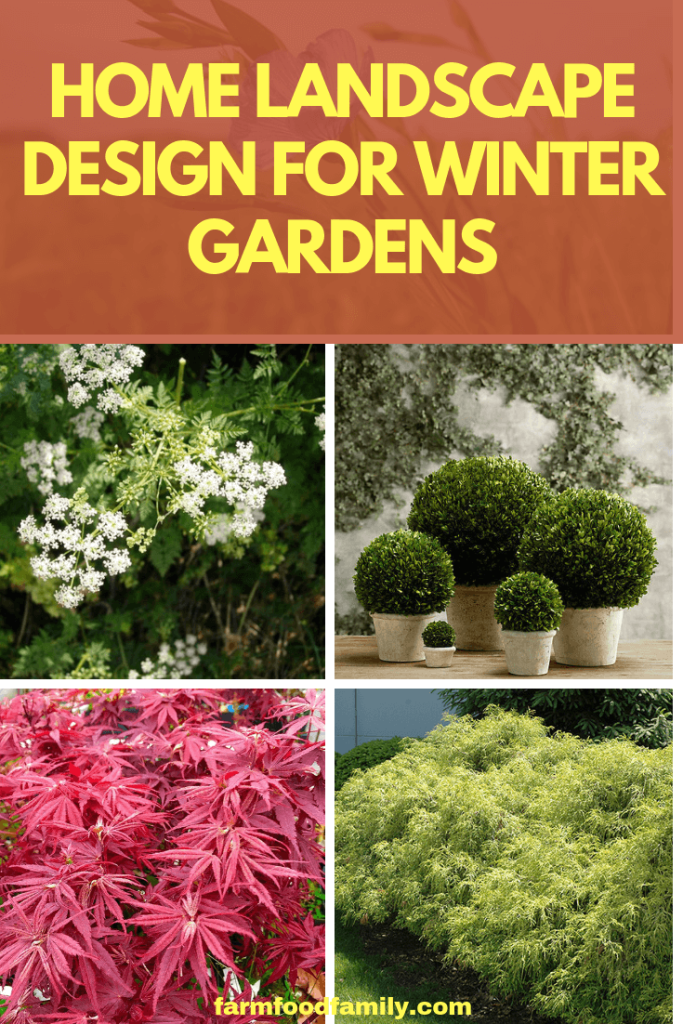 20+ Home Landscape Design and Plants For Winter Gardens