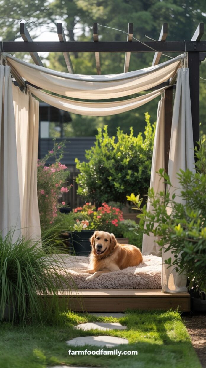 65+ Great Dog-Friendly Backyard Landscaping Ideas & Designs For 2026