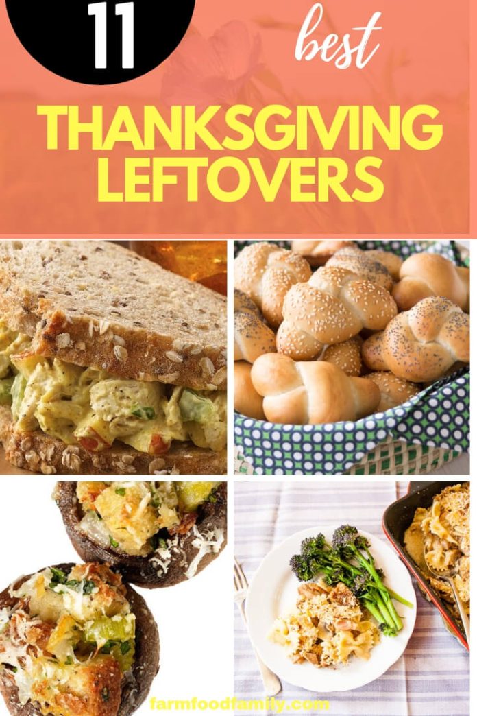 11 Ideas For Thanksgiving Leftovers - FarmFoodFamily