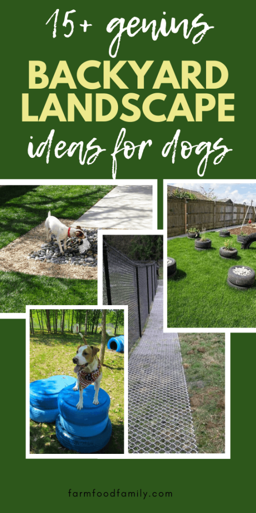 65+ Great Dog-Friendly Backyard Landscaping Ideas & Designs For 2024