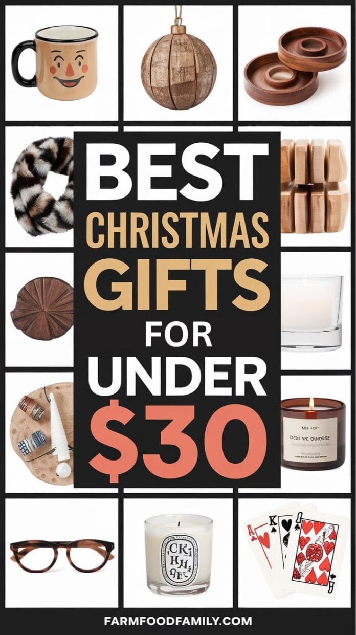 Christmas Gifts for Under $30: Creative Holiday Presents on a Budget